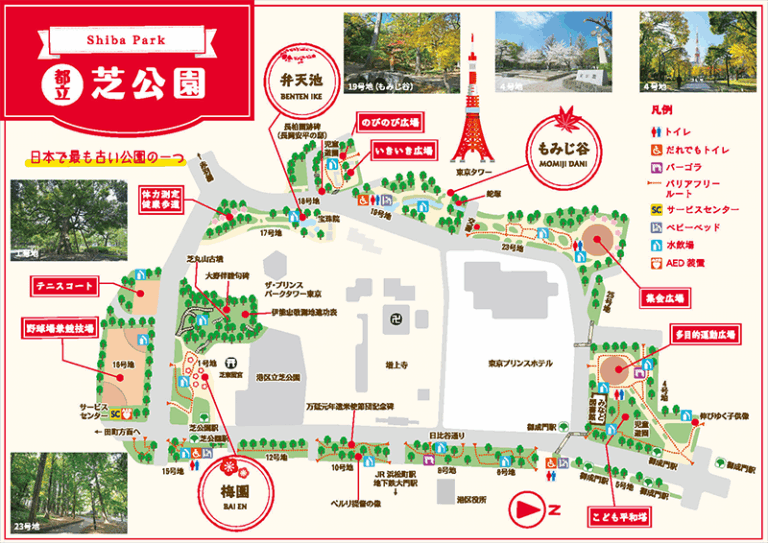 【2025年最新】芝公園の紅葉の見頃やおすすめスポットと楽しみ方徹底ガイド | 旬便りノート